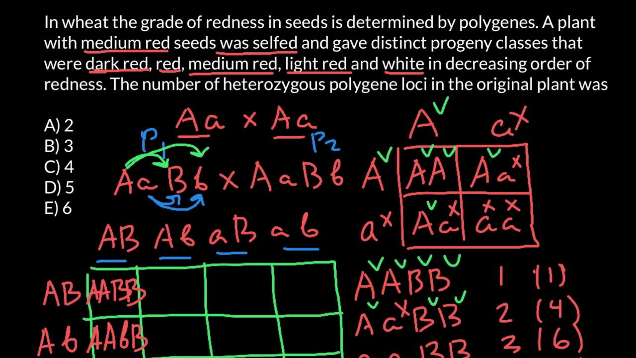 How to solve quantitative genetics problems