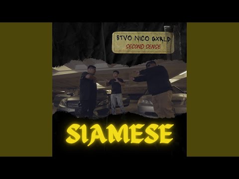 Siamese (feat. $tVO, Gxrld & Nico)
