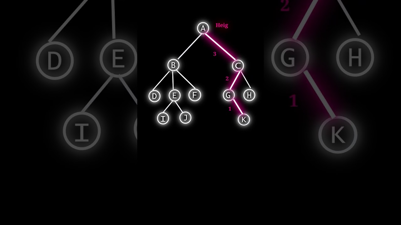 Height of Tree with Visuals  #shorts #dsa #computerscience  #engineering #tree #cse #algorithms