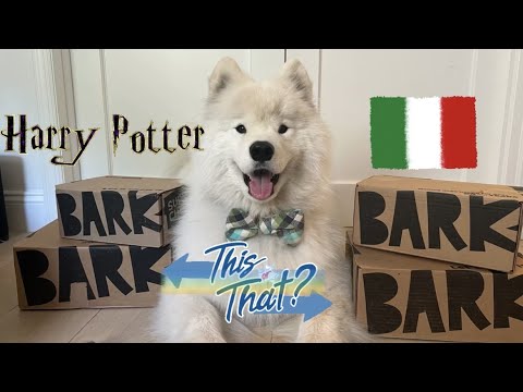 Which BARK theme would you pick? Barkbox and Super Chewer subscription box review