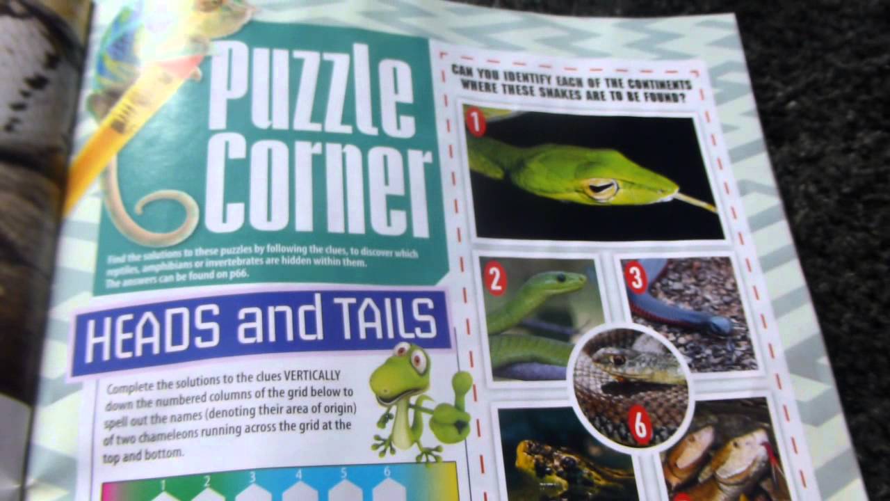 Practical Reptile Magazine Review