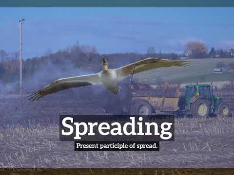 What is Spreading? | How to Say Spreading in English? | How Does Spreading Look?