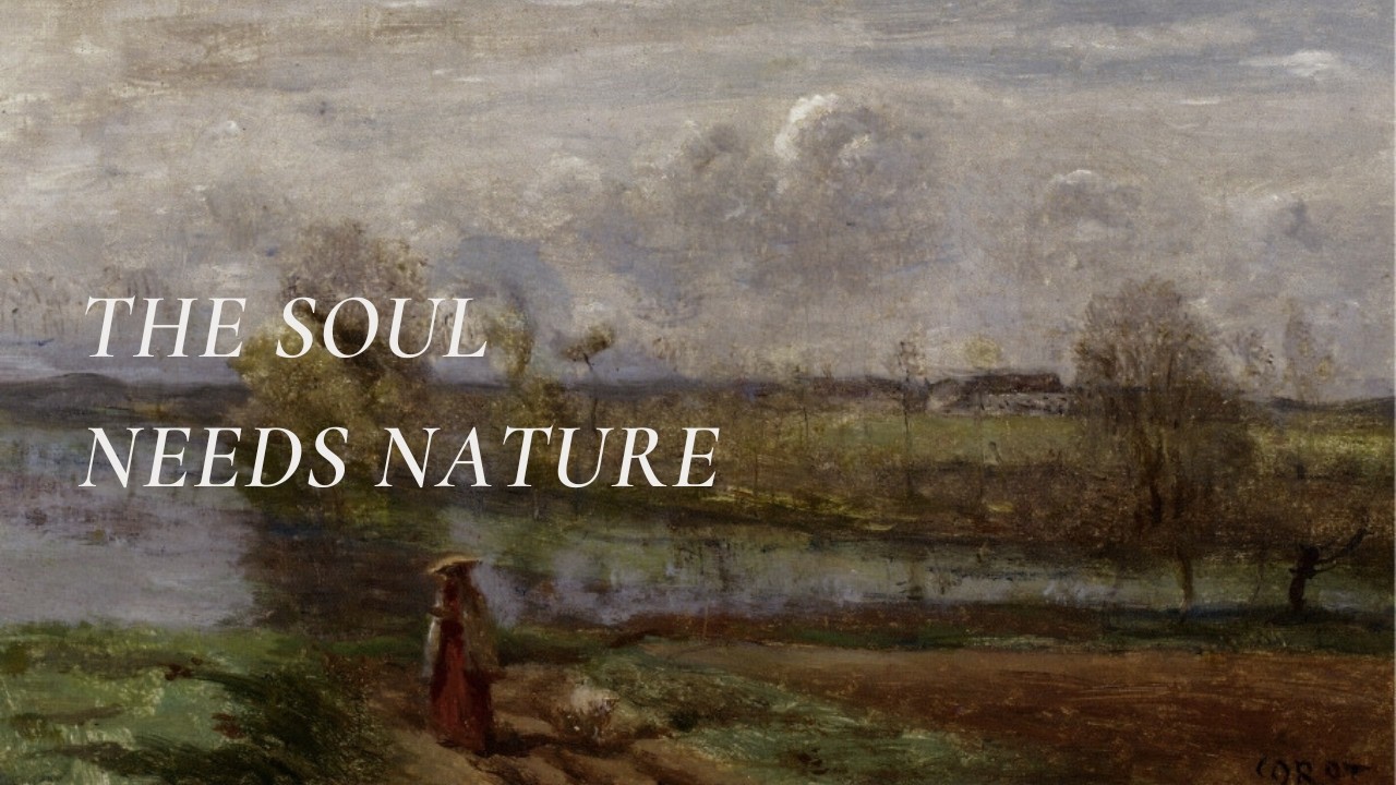 Do We Really Need Nature Study? | Eryn Lynum | Classical, Charlotte Mason Home Education