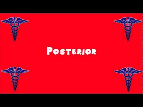 Pronounce Medical Words ― Posterior