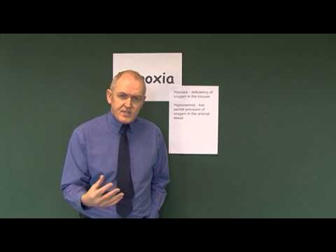Hypoxia 1, Oxygen and life