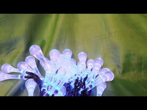 Blue Bubble Fairy Lights Review