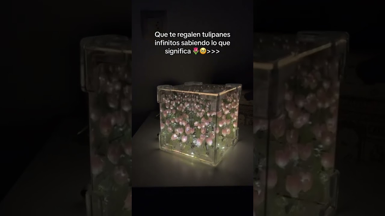 Ah quien le regalarias estos tulipanes infinitos? 🌷😍🥹 #tulipanes #lampara #luces #regalos