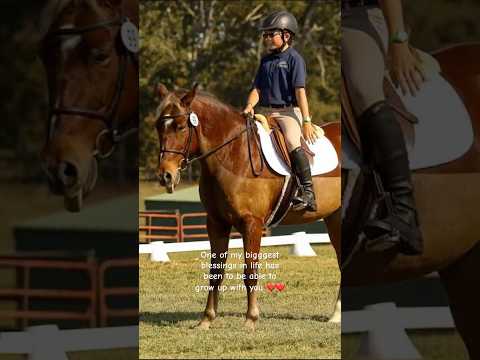 Words can’t describe how special this pony is to me❤️🥹 Cashy 🦄 #horse #bestpony #ilovemyhorse