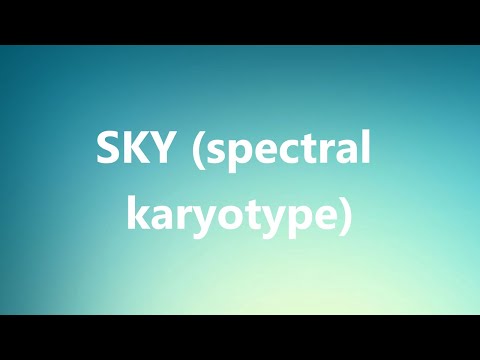 SKY (spectral karyotype) - Medical Meaning and Pronunciation