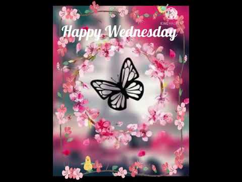 Wednesday Wallpaper :: Flower gif Animated Image :: Like 👍 Subscribe Share