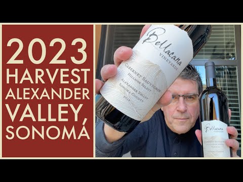 CABERNET SAUVIGNON HARVEST and Comparative Wine Tasting