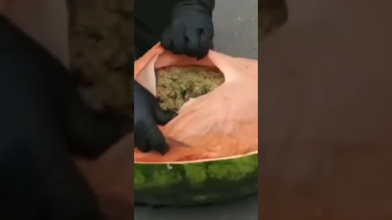 ¡MARIHUANA EN SANDÍAS! #contrabando #shorts