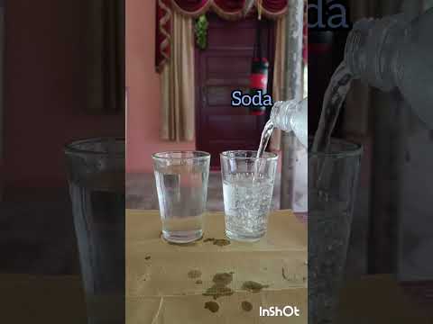 Carbonated water experiment #shorts #video #school