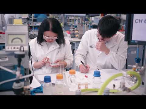 Medical Sciences (two-year accelerated degree) - BSc (Hons)