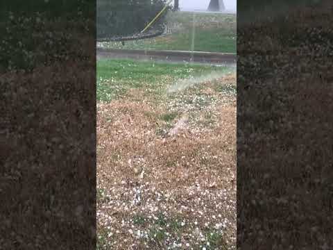 Ennis, Texas Hailstorm on March 14, 2022!
