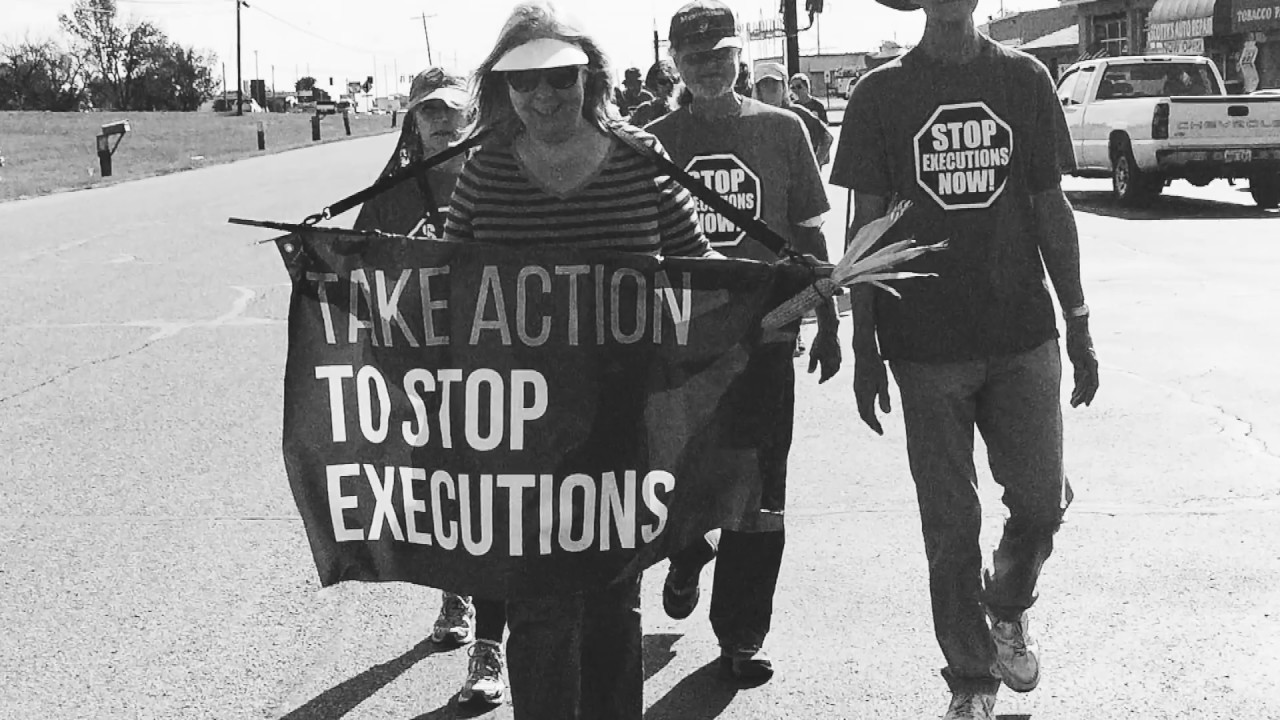 OTSE Highlights (2017)