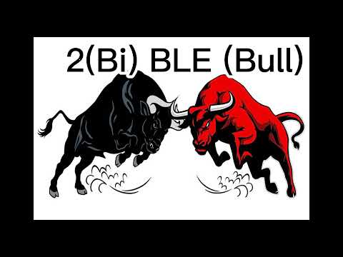 BIBLE ( Definition )