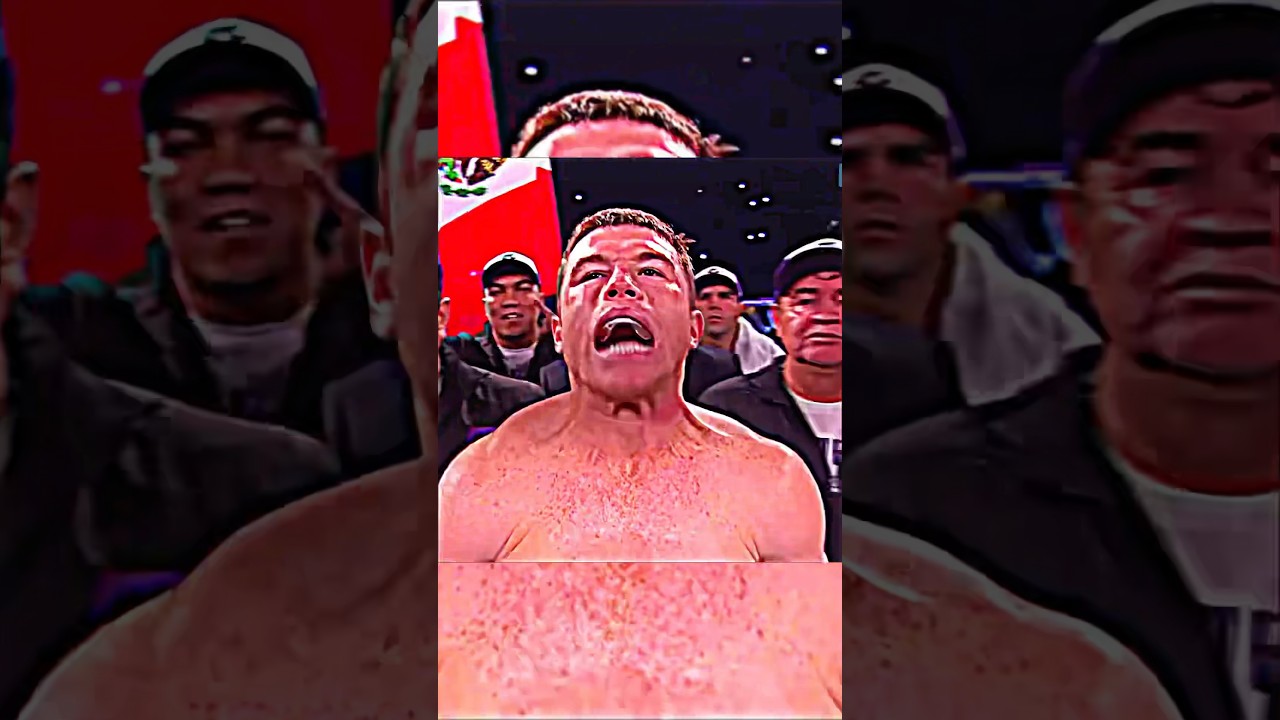 Canelo Alvarez best knockouts🇲🇽🔥 #canelo #caneloalvarez #boxing