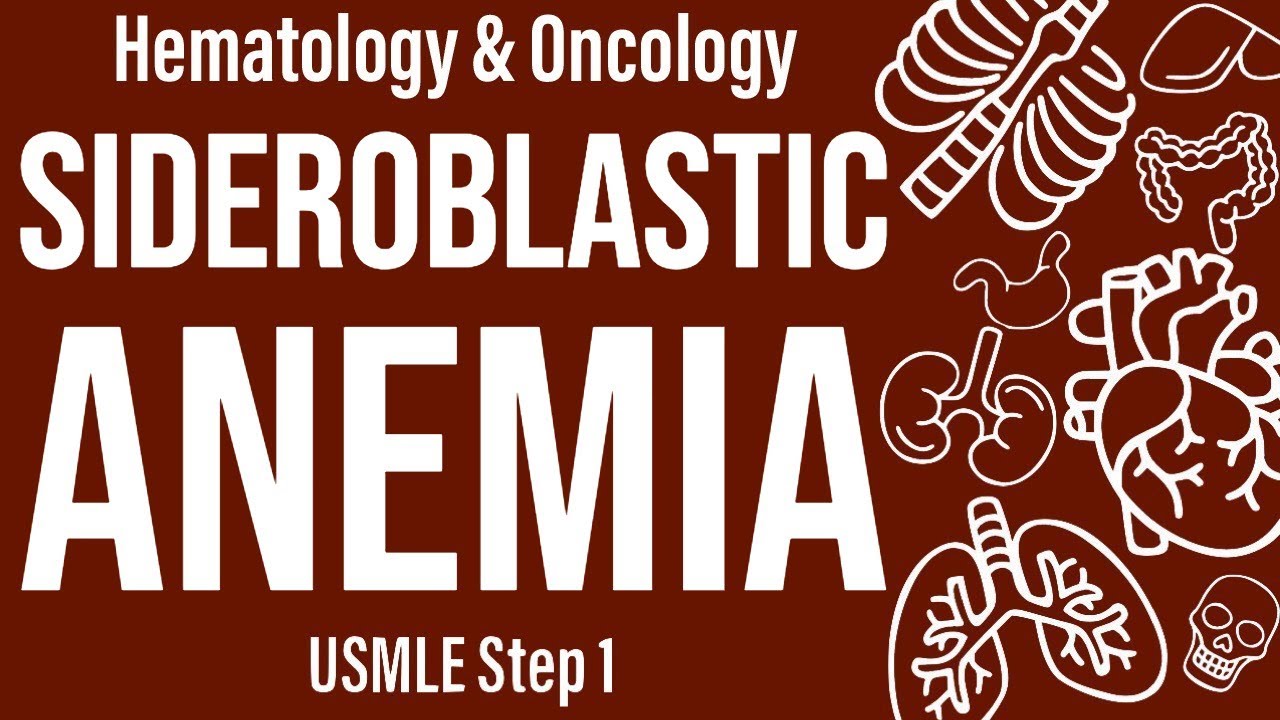 Sideroblastic Anemia (Heme/Onc) - USMLE Step 1