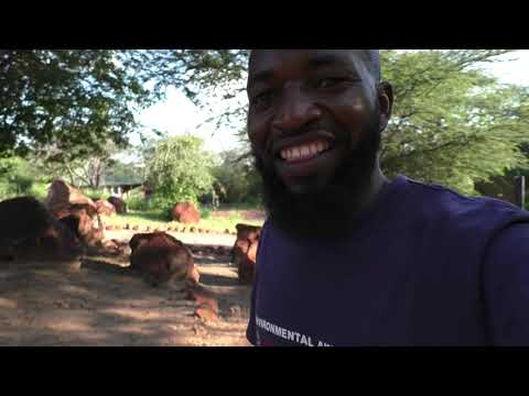 No Plastics in Namibian National Park