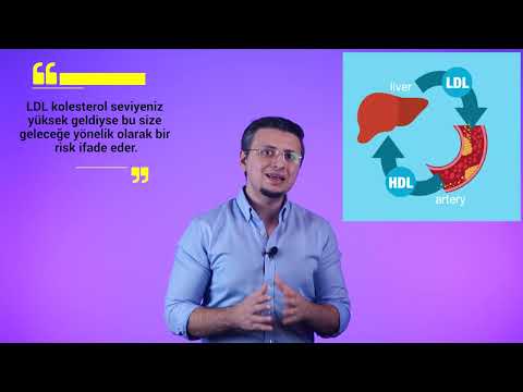 LDL KOLESTEROL NEDİR? ‘Kötü Kolesterol’ Hakkında Bilmeniz Gerekenler!