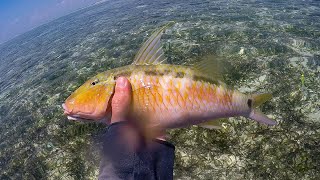 10 Things to Do in Maafushi Fishing, V.Maavah Maldives | Gems.Travel