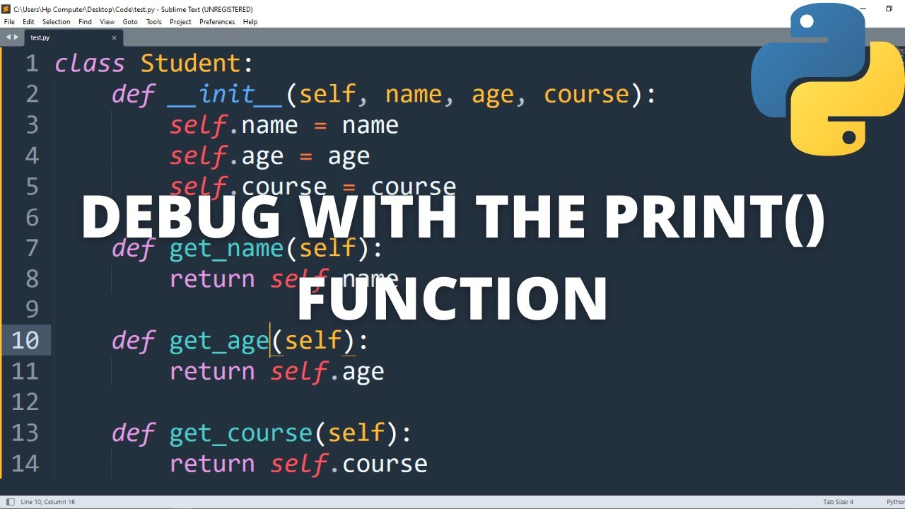 Debug with the print() Function in python
