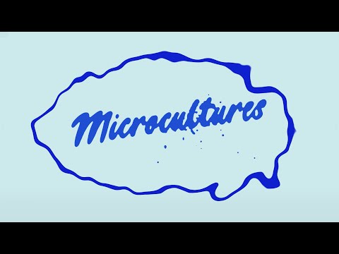 Cultures! - The Art of Fermentation