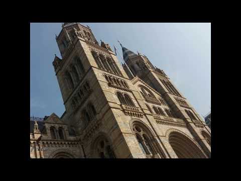 London Natural History Museum No 2 - amazing photos