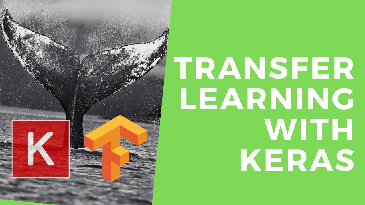 Transfer Learning with Keras & TensorFlow