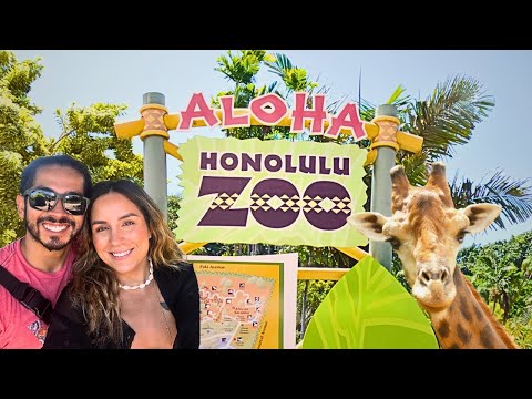 The Honolulu Zoo - Budget - Friendly Activities in Hawaii