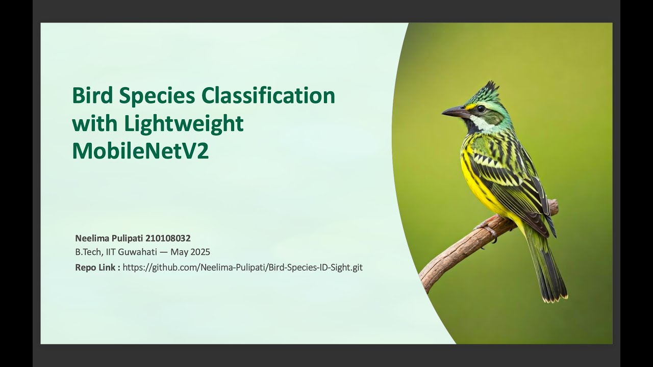 Bird Species Classification | Project Walk-Through