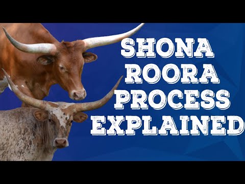 Learn Shona: Zimbabwean Roora Process Explained (Step-By-Step)