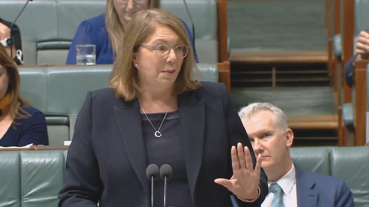 ‘Nothing remarkable’ about transport ministers making routine decisions: Catherine King