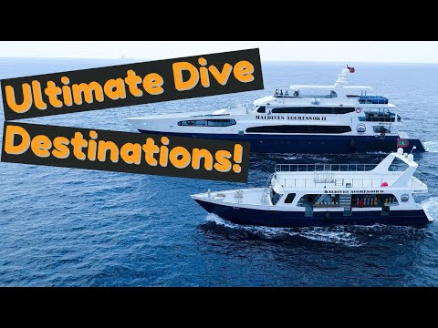 What Is the Fascination of Scuba Diving the Maldives?