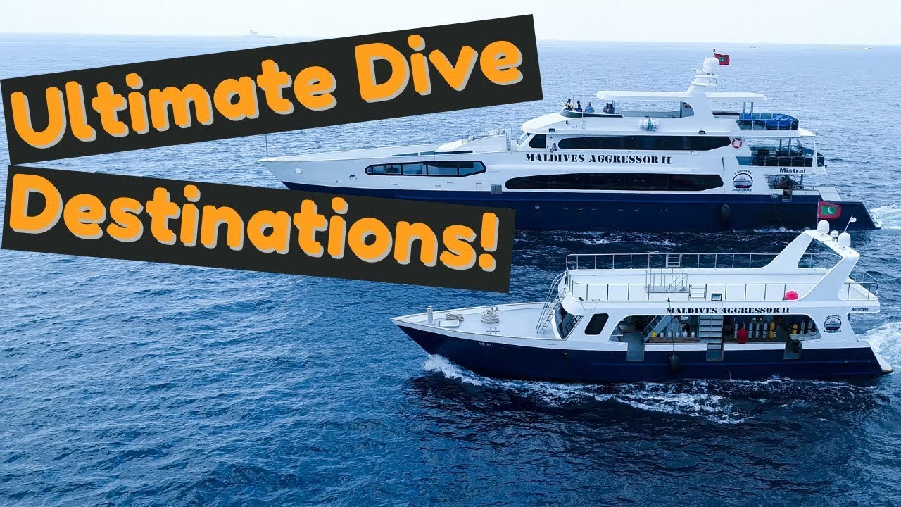 What Is the Fascination of Scuba Diving the Maldives?