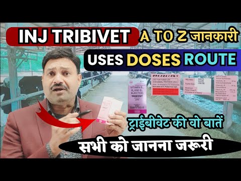 Vitamin B Complex Vet Injection - Tribivet Injection Latest Price ...