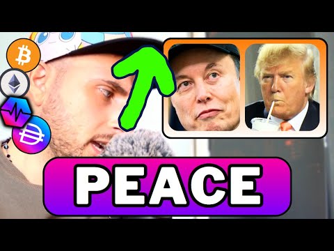 Yummy Update 🥘 Markets PUMP on PEACE DEAL, Nothing Happened, Positioning, StableCoins, Richard Heart