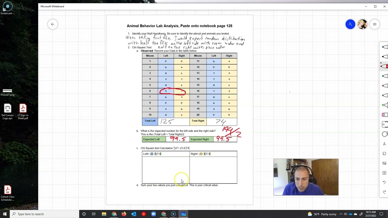 Choice chamber analysis
