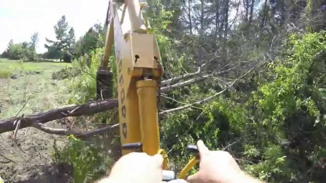 GoPro Backhoe Tree Removal