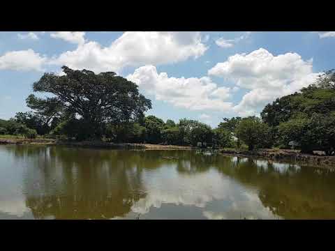 Videos de Masagua | Todo sobre Masagua Escuintla