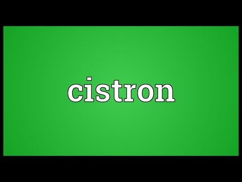 Cistron Meaning