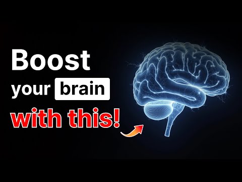 Top 10 Brain Foods for Seniors — Doctor-Approved and Overlooked