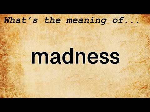 Madness Meaning : Definition of Madness