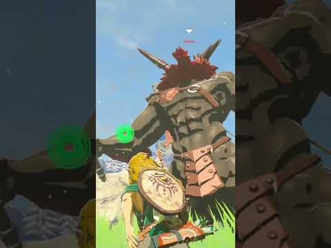 HOW TO BEAT LYNELS (Tears of the Kingdom)