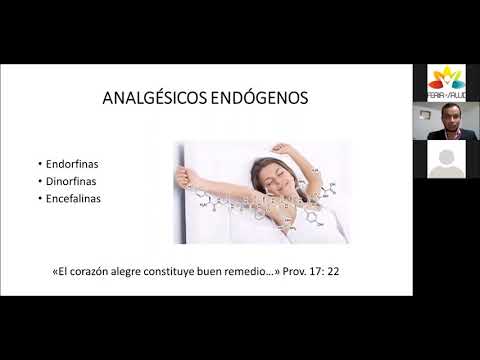 Analgésicos endógenos para el dolor