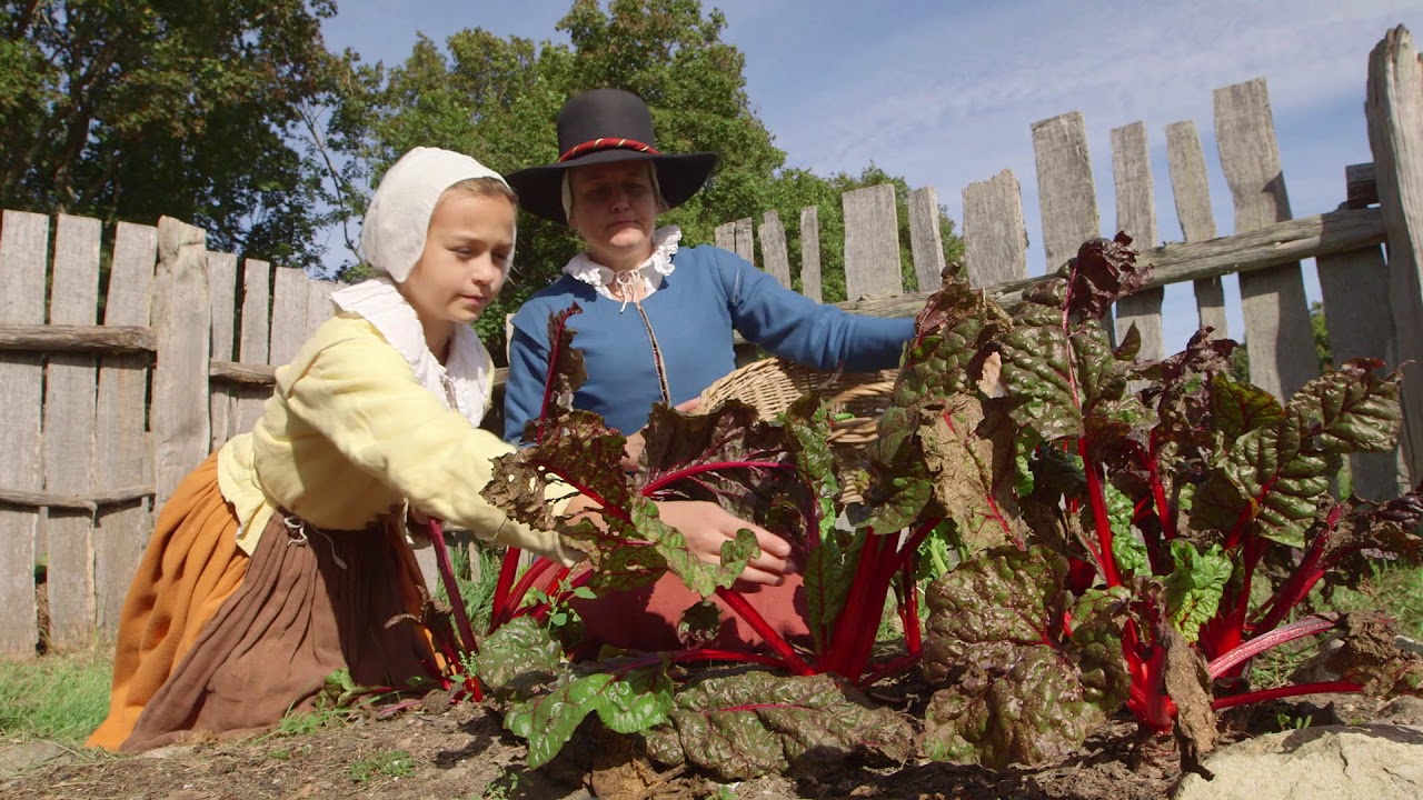 Pilgrim Life with Scholastic News