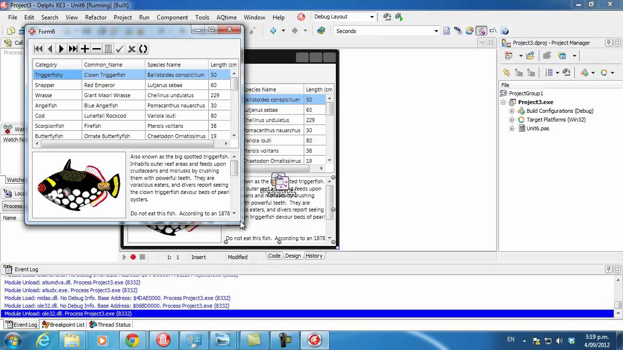 Delphi Programming Tutorial #78 - FireMonkey: Visual LiveBindings, Anchors and Actions