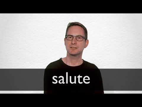 Spanish Translation of “SALUTE” | Collins English-Spanish Dictionary