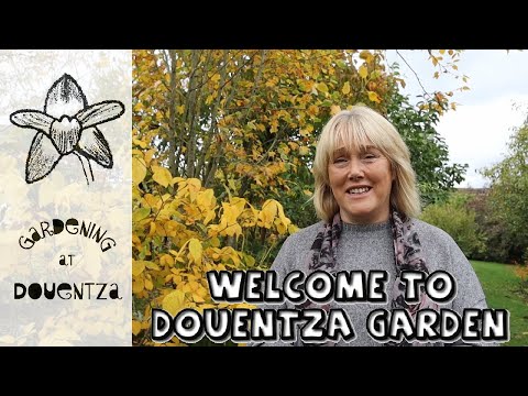 Welcome to my channel